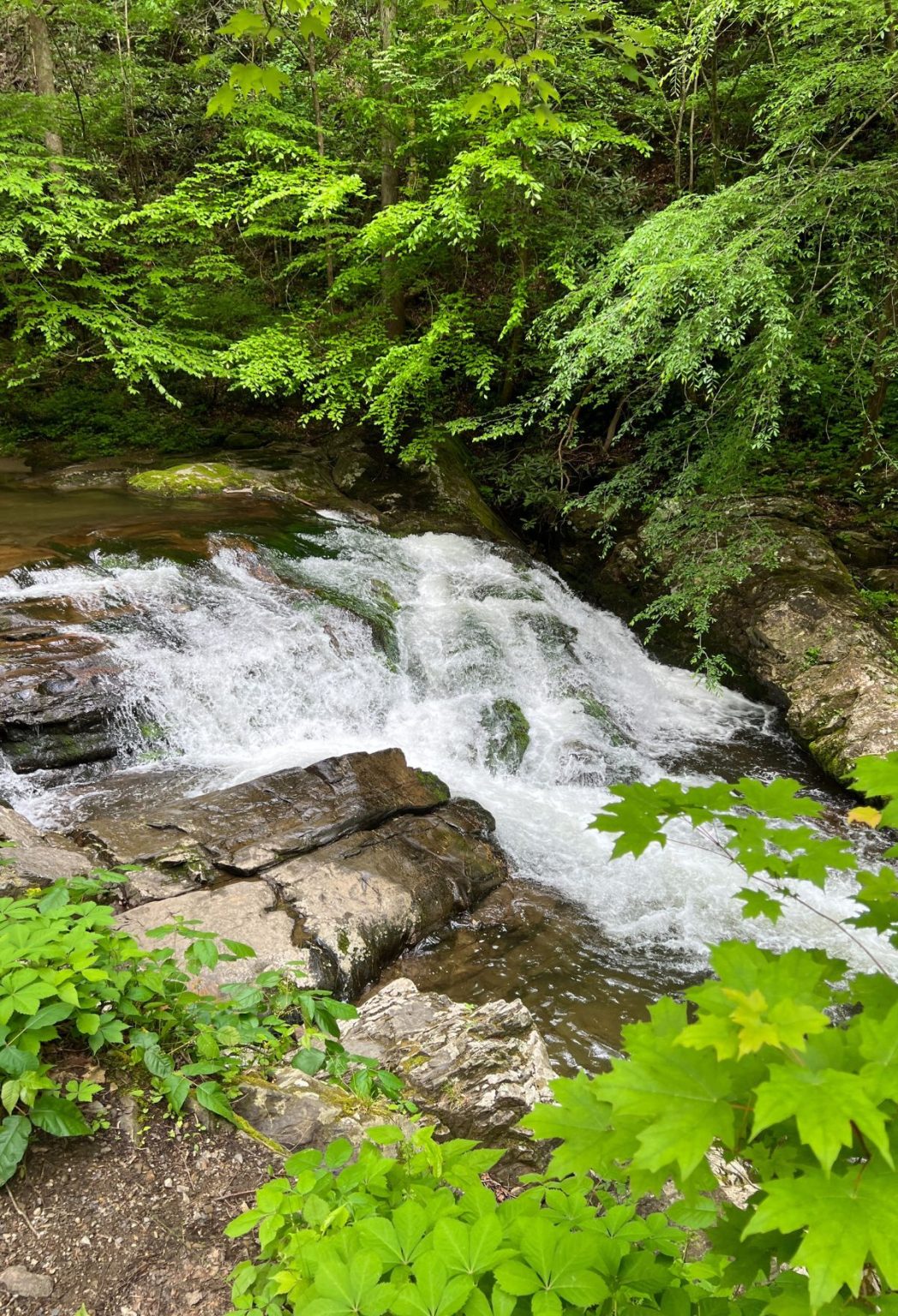 15 Unique Attractions to See in Tennessee | Life in The RV