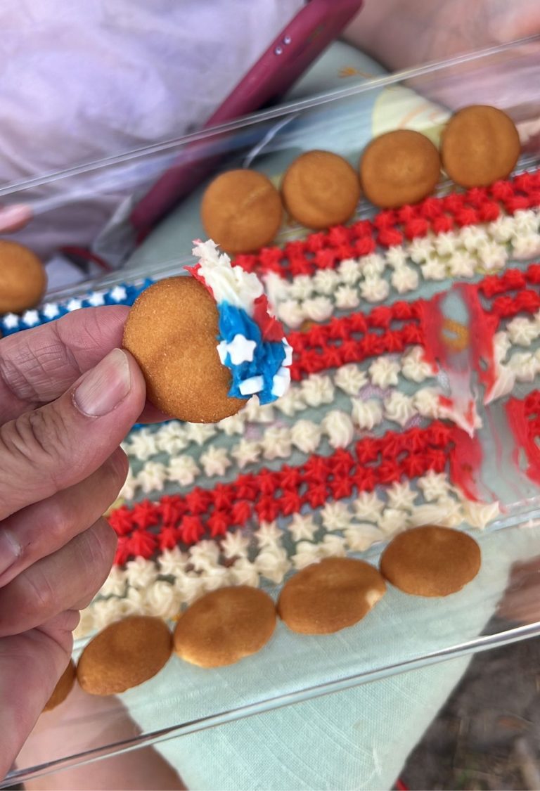 Easy Patriotic Dunkaroo Dip Flag | Life in The RV