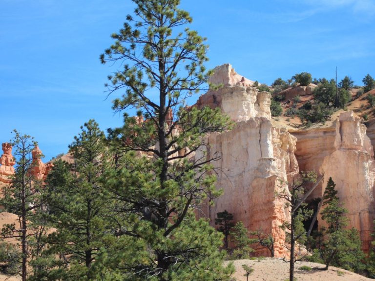 Bryce Canyon National Park FAQs | Life in The RV