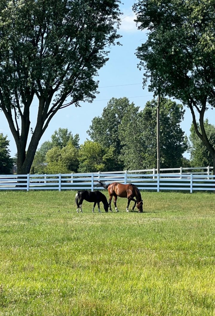 RV Parks Near Shipshewana Indiana | Life in The RV