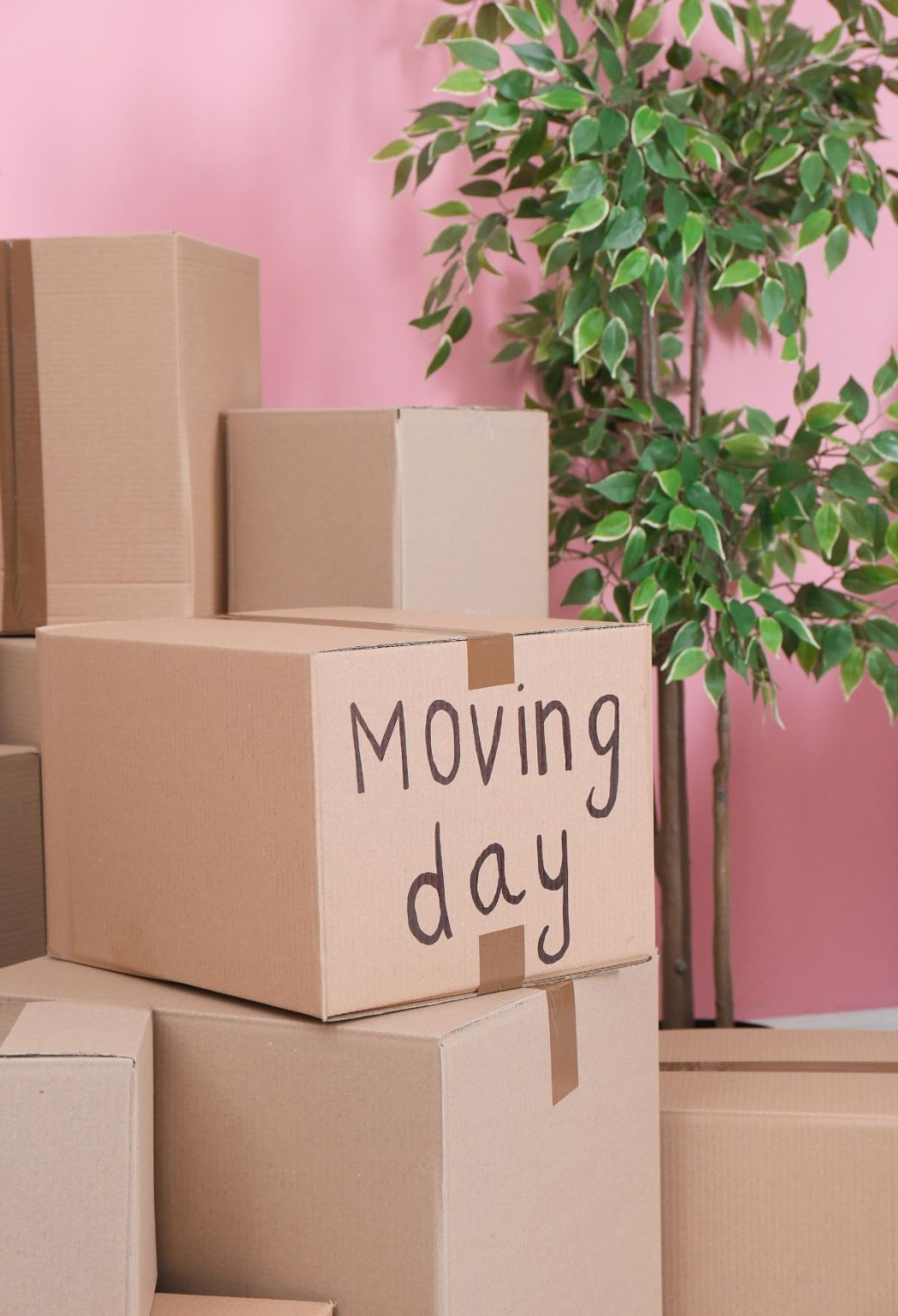 Guide for Downsizing for Full-Time RV Living | Life in The RV