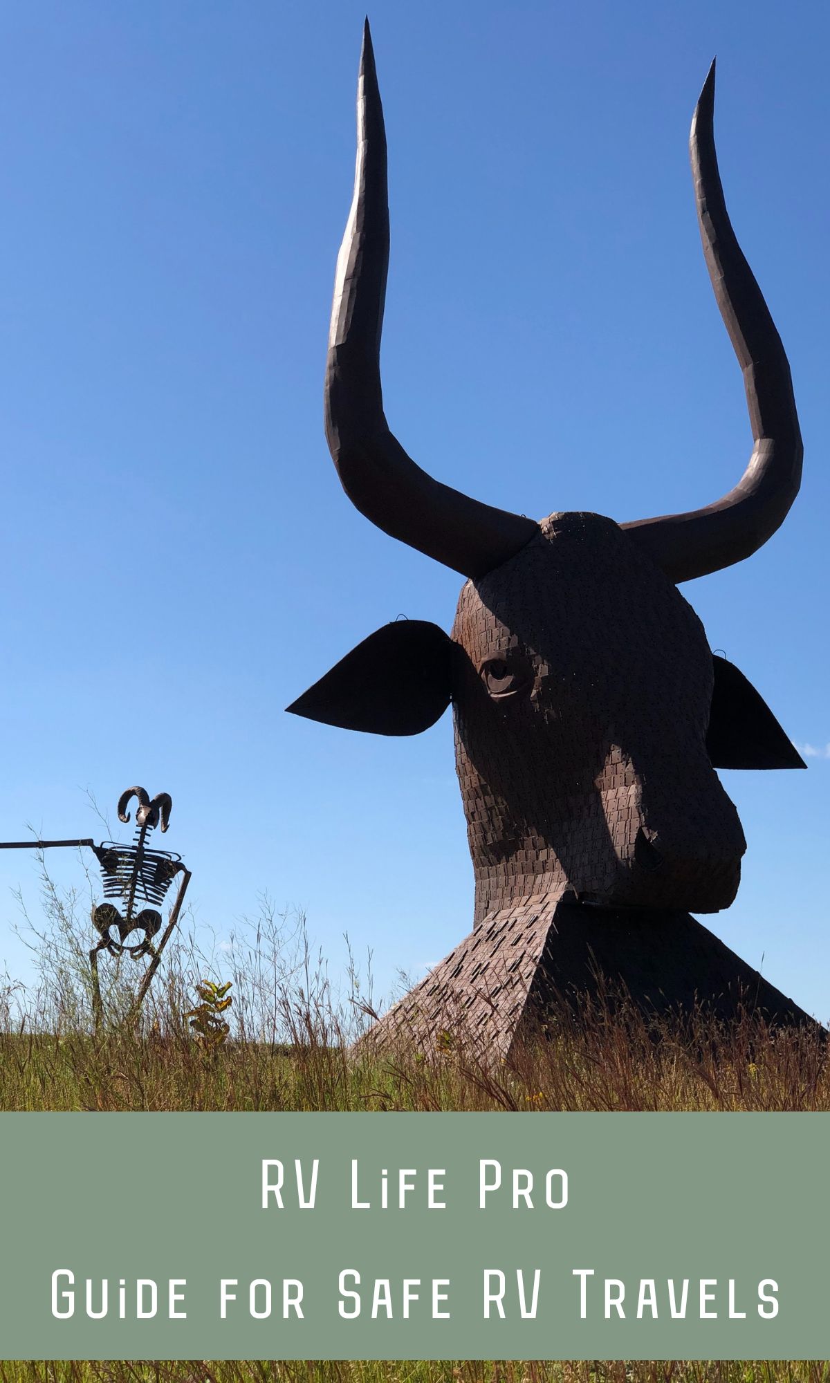 RV Life Pro - Ultimate Guide for Efficient and Safe RV Travels | Life ...