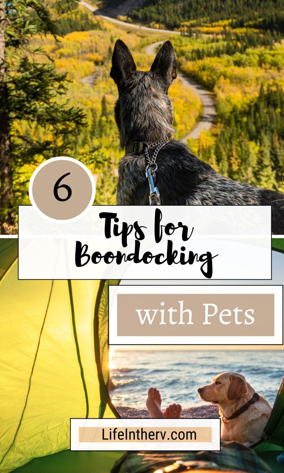 Boondocking with Pets | Life in The RV