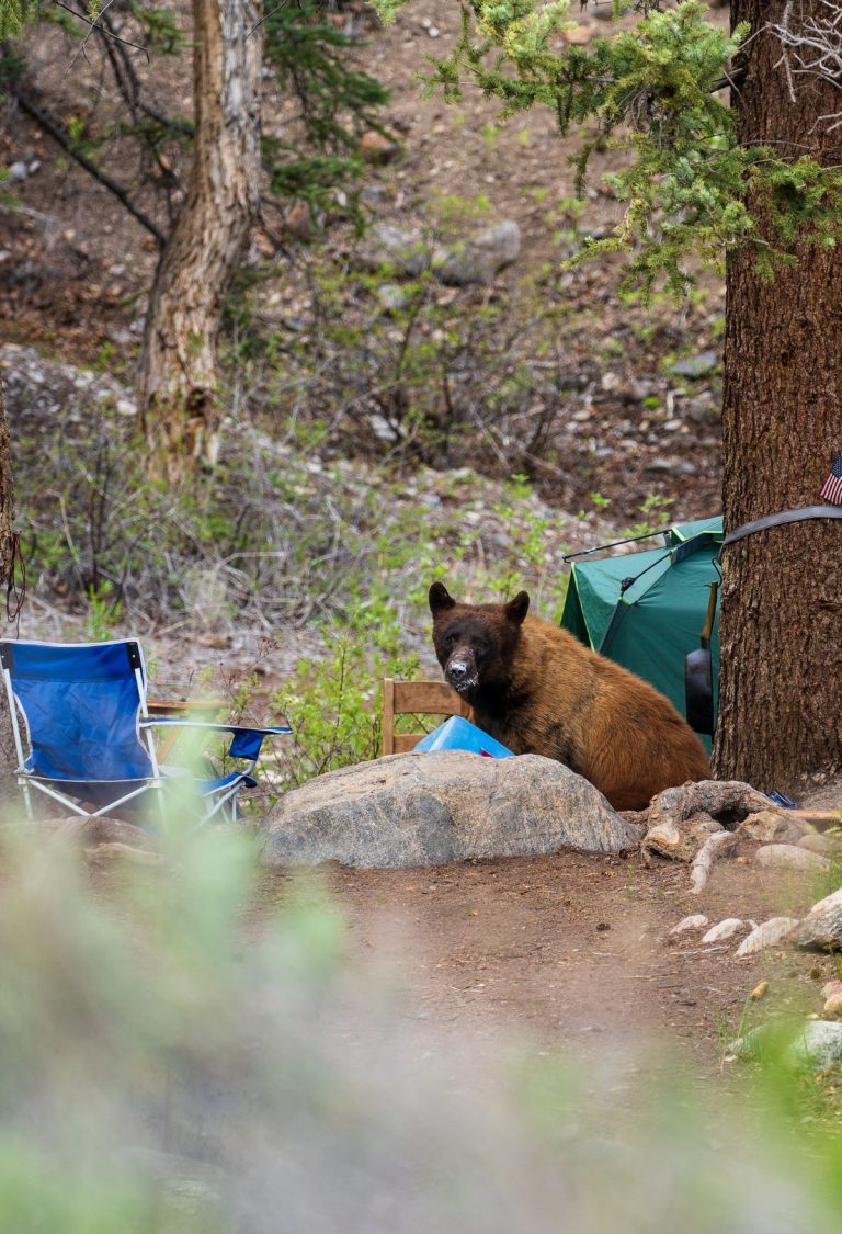 Key Boondocking Tips for First-Time Boondockers | Life in The RV