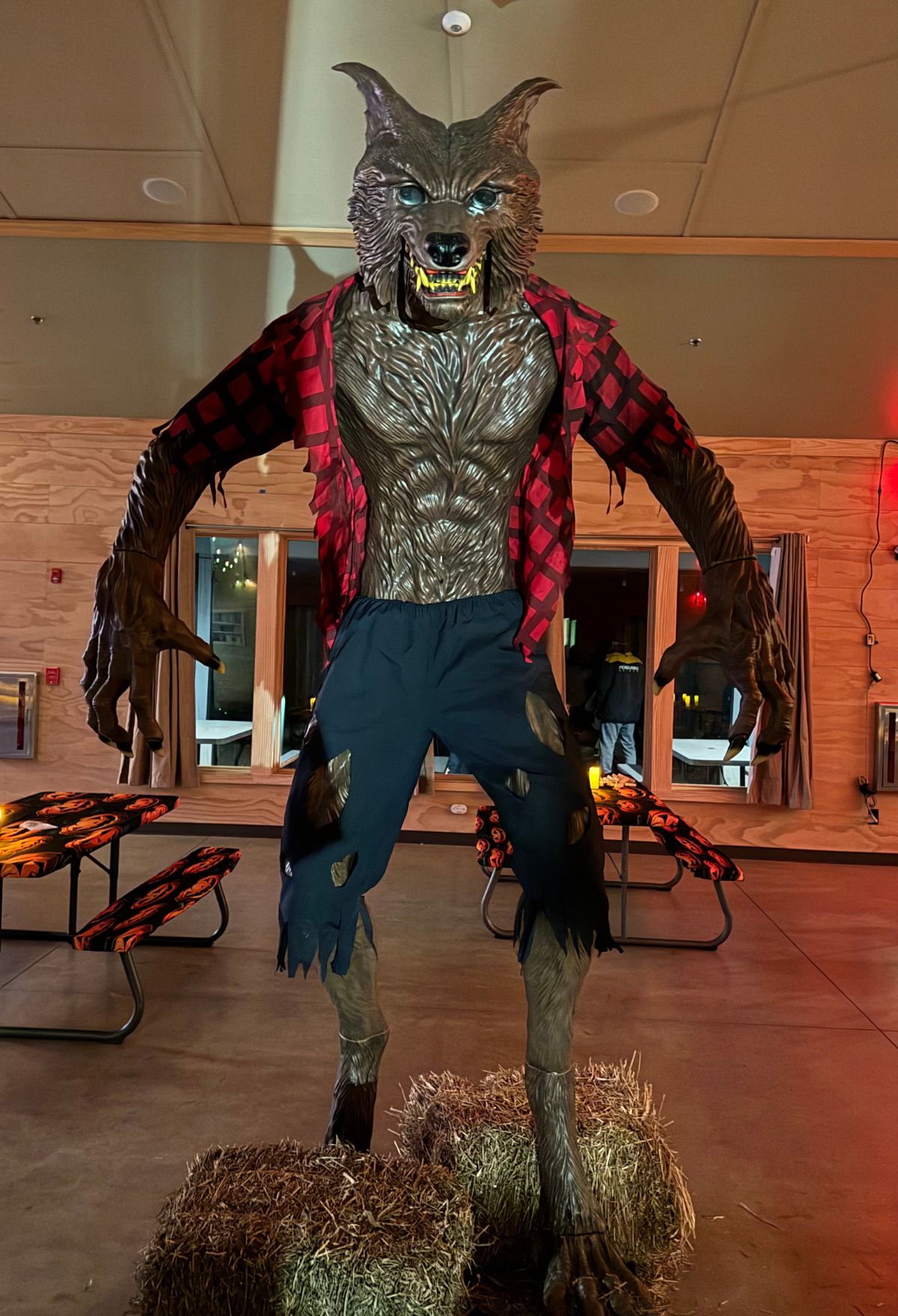 Dark Hollows Haunted Hayride at Camp Big Timber | Life in The RV