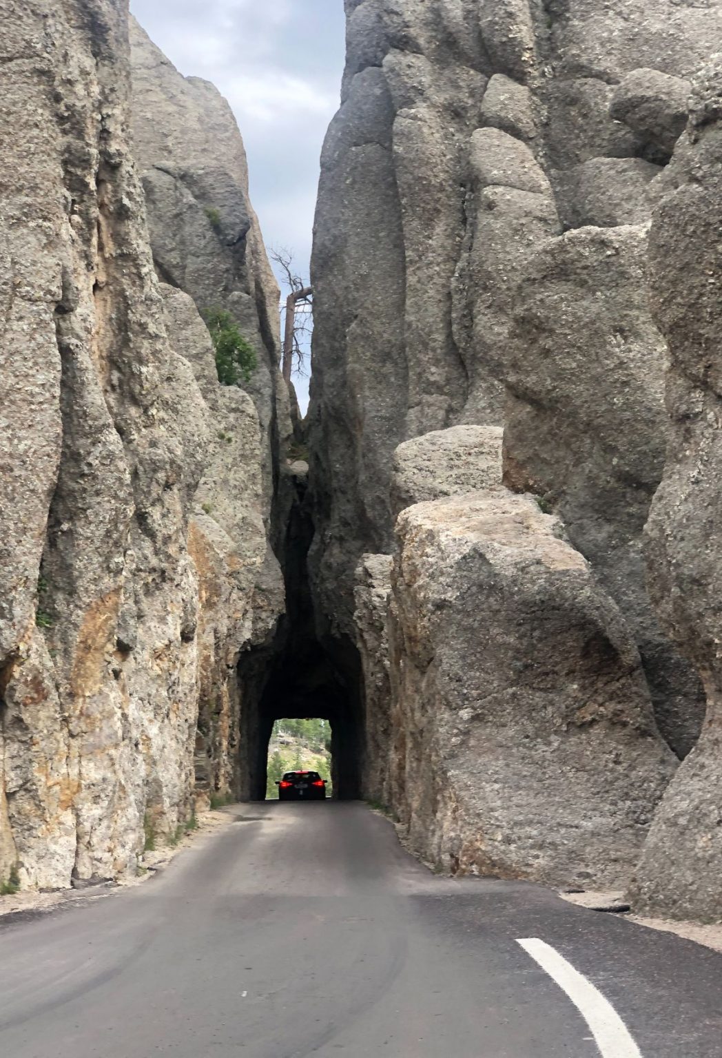 10 Things To Do On A Road Trip To Mount Rushmore | Life in The RV